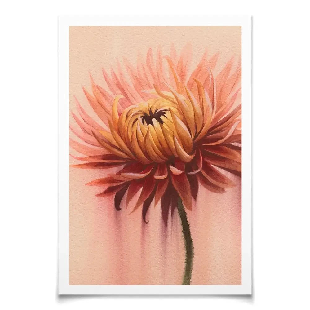 Sun Drenched Chrysanthemum 2 Art Print