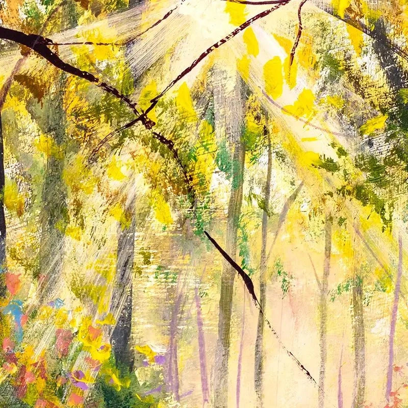 The Secret Path Framed Art Print – Art Print Shop