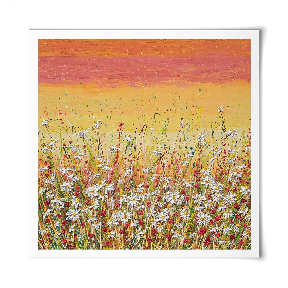 Daisies At Sunset Square Art Print