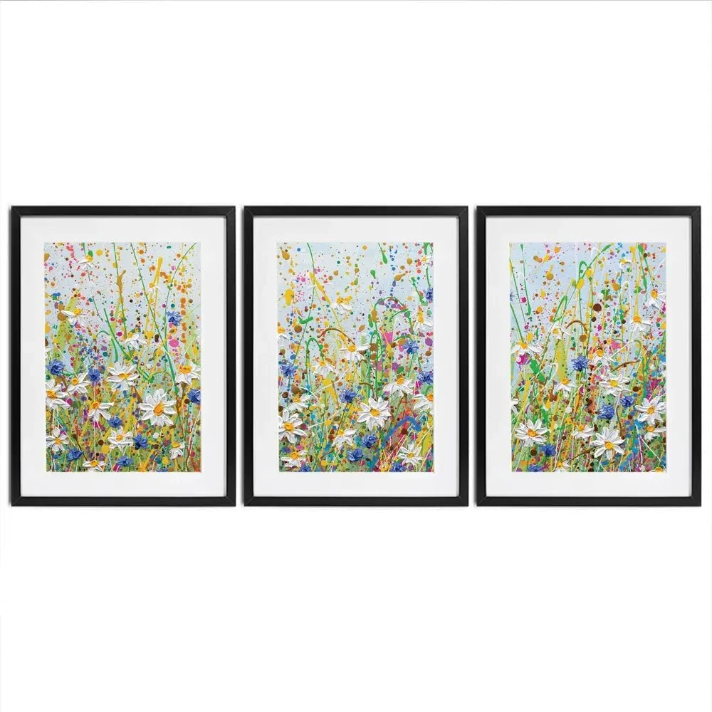 Daisy Splash Framed Art Print Trio