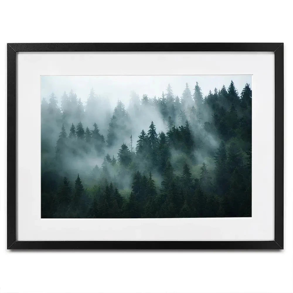 Fir Forest Framed Art Print