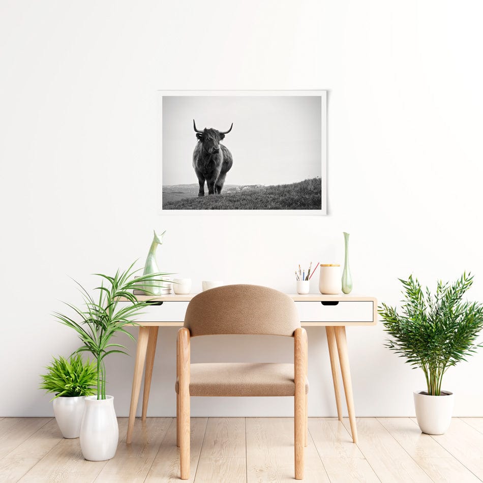 Highland Cow In The Distance Art Print – Art Print Shop