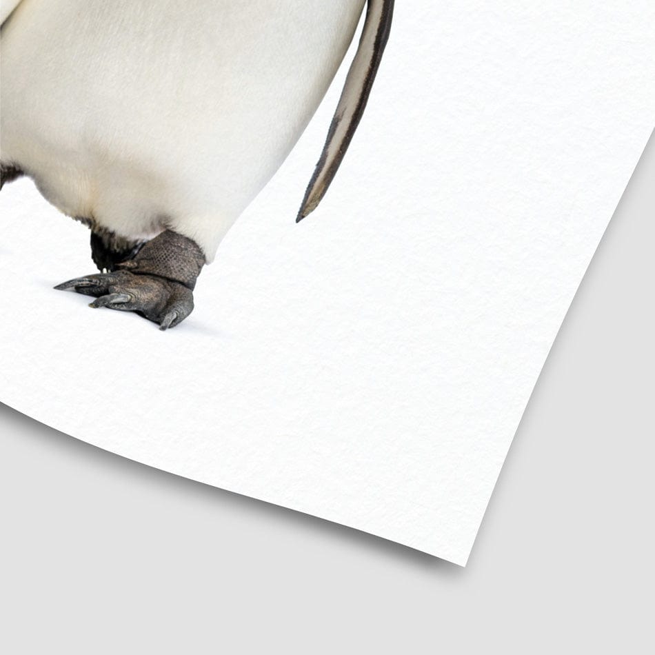 Penguin Gang Art Print – Art Print Shop