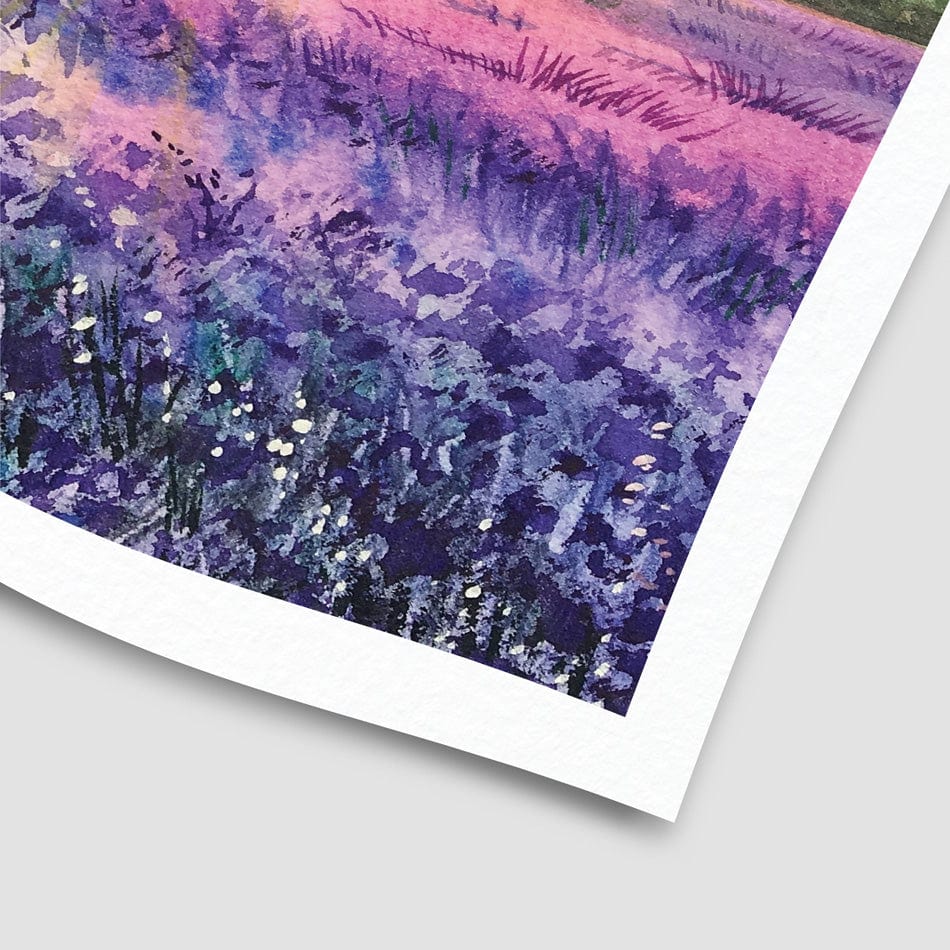 Provence Lavender Field Art Print – Art Print Shop