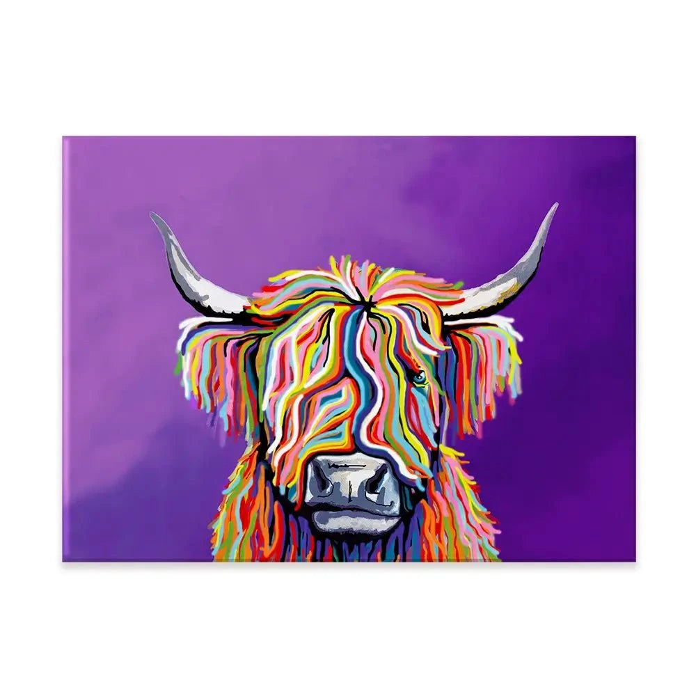 Scottish Coo Canvas Print