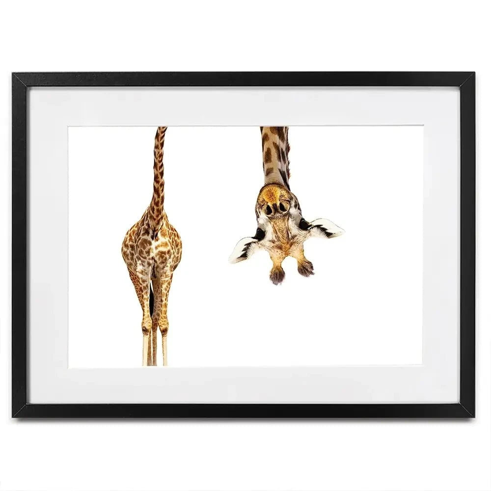 Upside Down Giraffe Framed Art Print