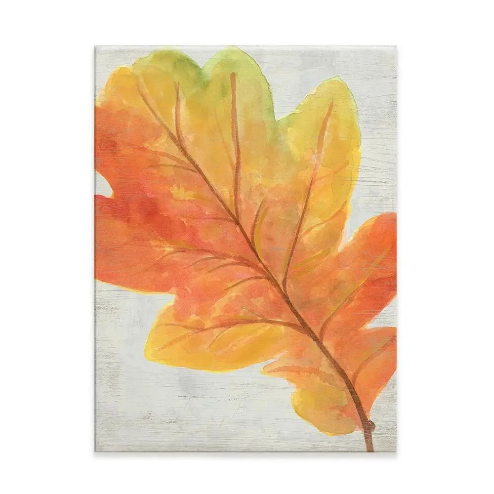 Woodland Colours 2 Canvas Print