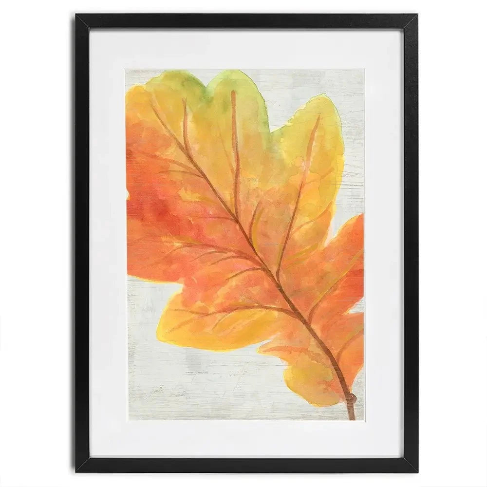 Woodland Colours 2 Framed Art Print