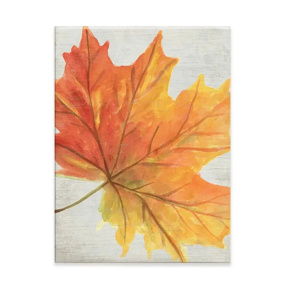 Woodland Colours 3 Canvas Print