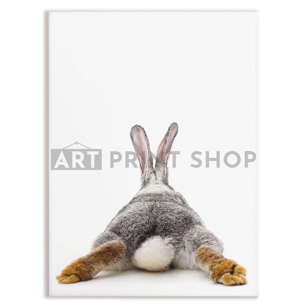 Bunny Rabbit Tail Canvas Print – Art Print Shop
