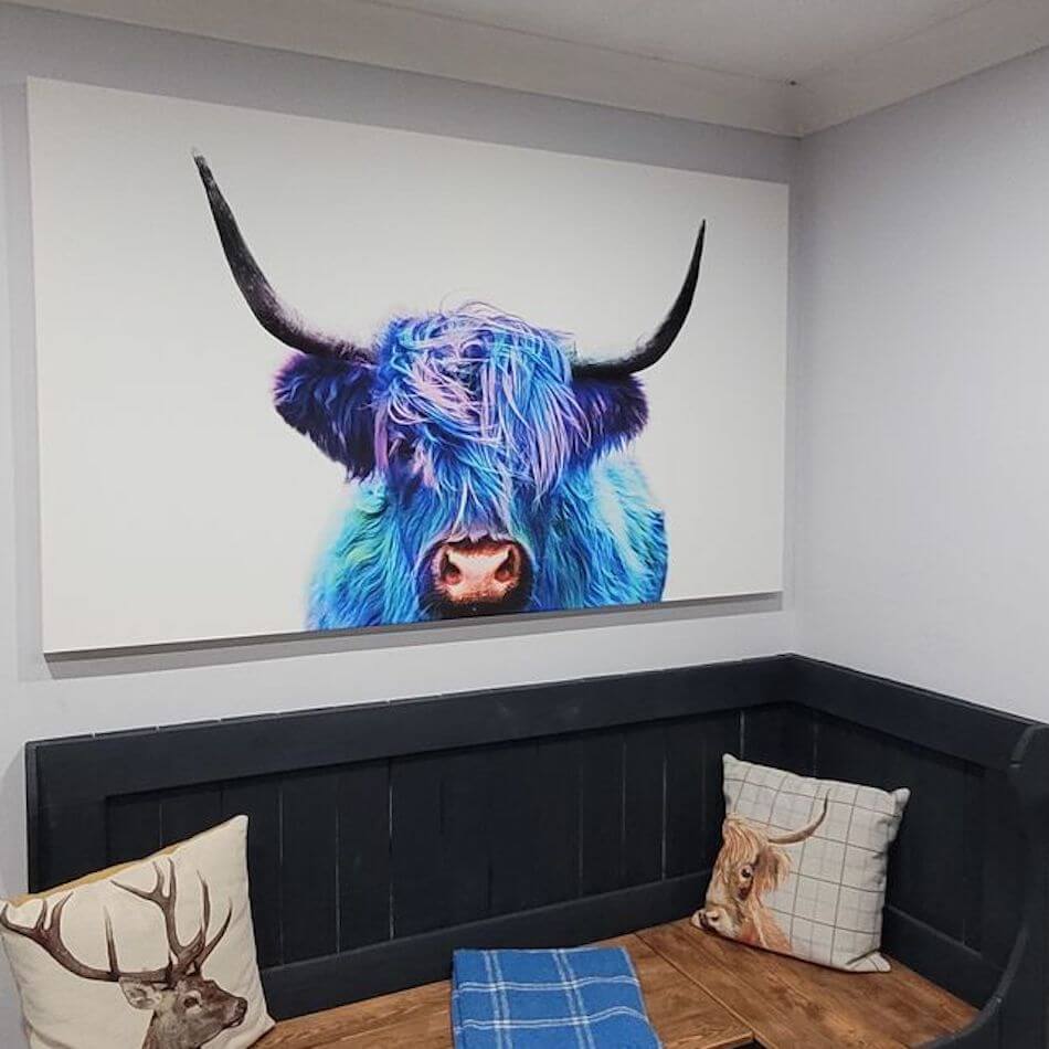 Colourful Blue Highland Cow Canvas Print – Art Print Shop