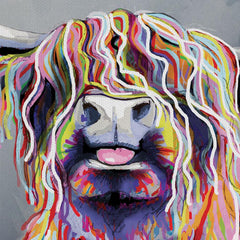 Colourful Highland Coo Canvas Print – Art Print Shop